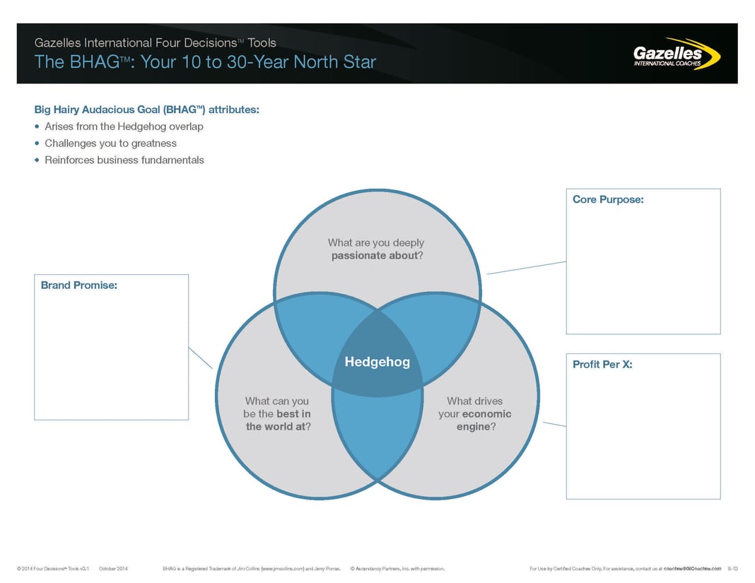 HEDGEHOG CONCEPT Three Circles Signal Greatness