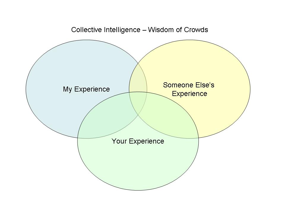 Practice the Discipline of Collective of Intelligence