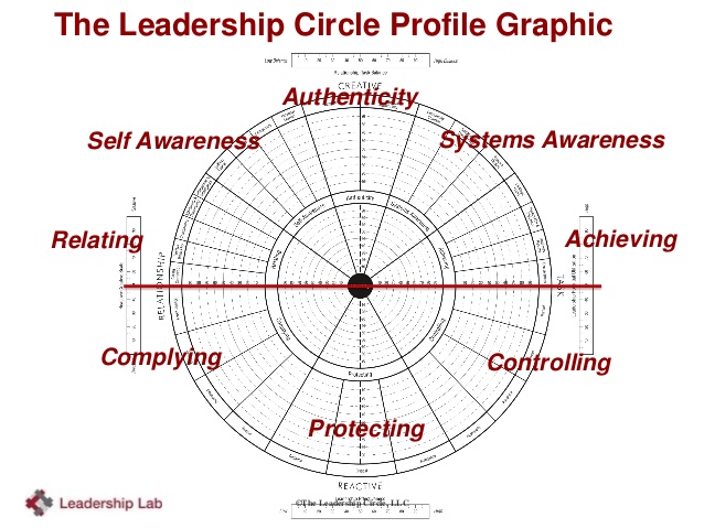 Solving the Leadership Puzzle – Leadership Circle Profile (360) – San ...
